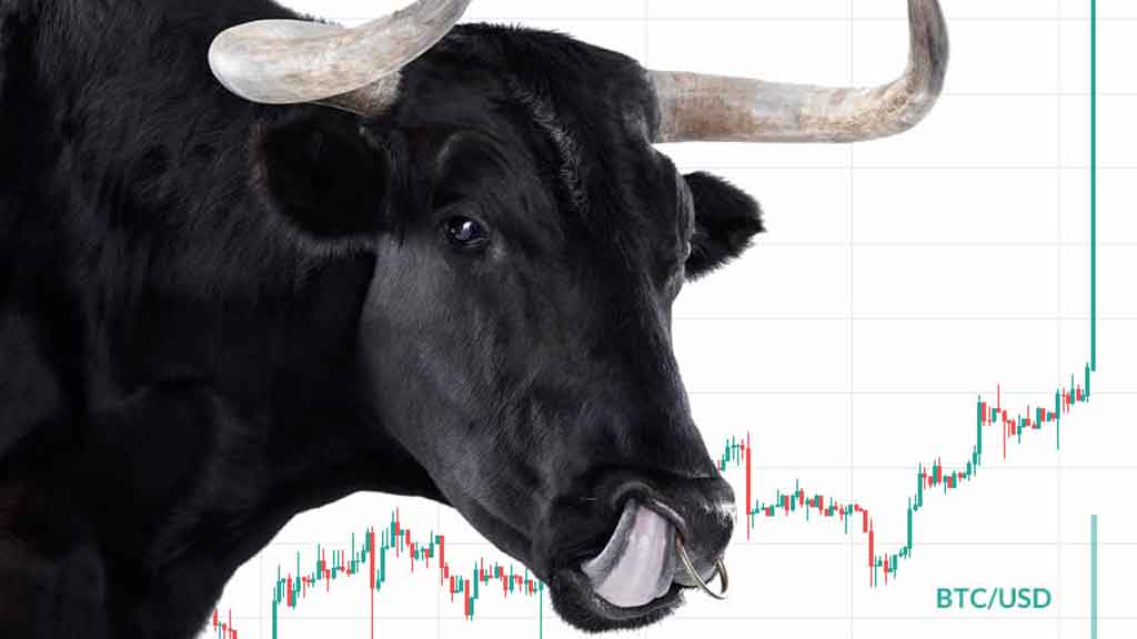 The 2019 Bull - Is the Bull Back?