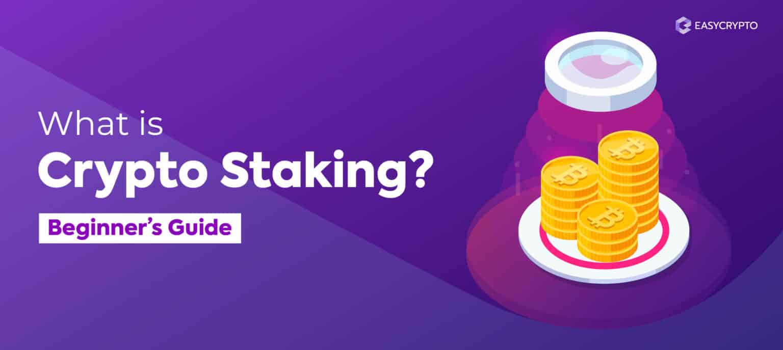 What is Crypto Staking? A Beginner’s Guide - Easy Crypto