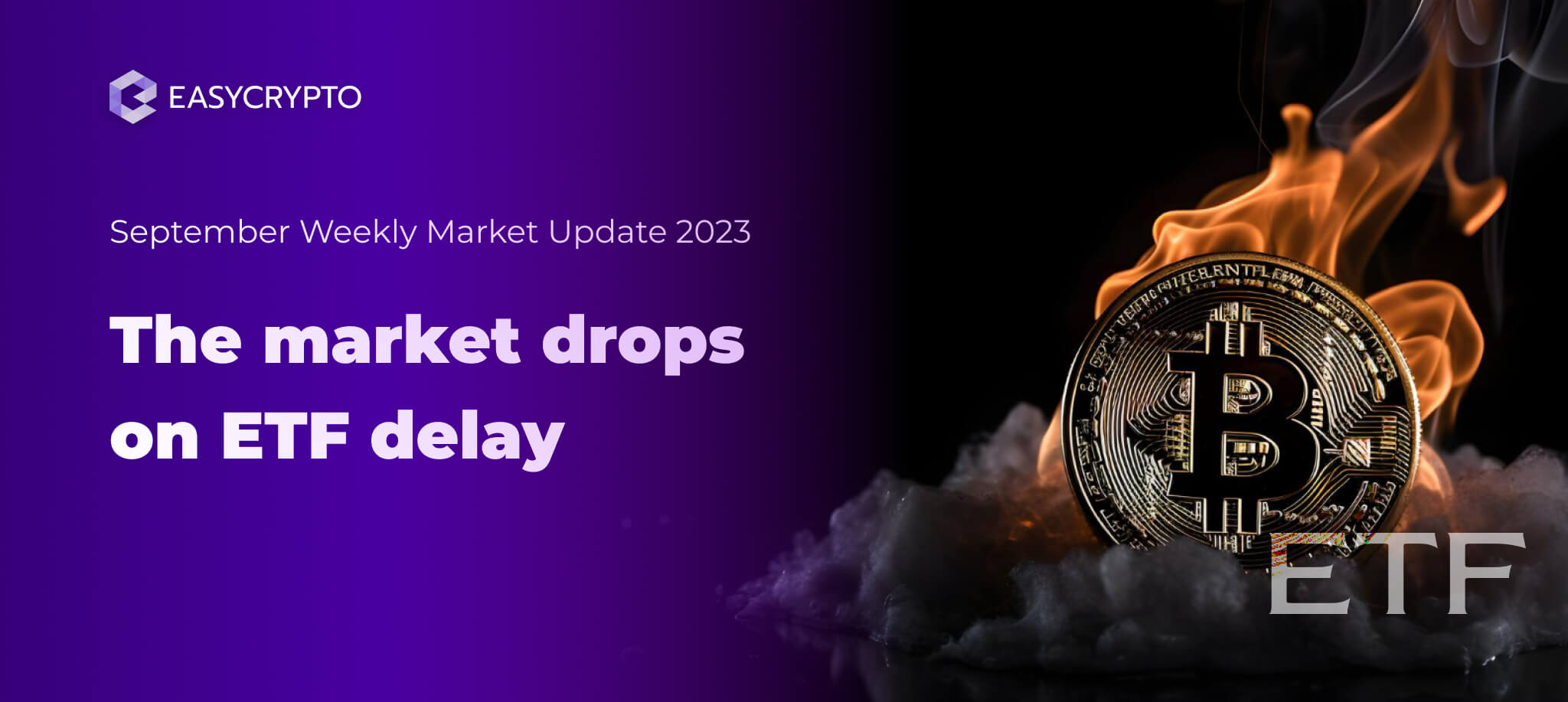 Weekly Market Update: The Market Drops on ETF Delay - Easy Crypto