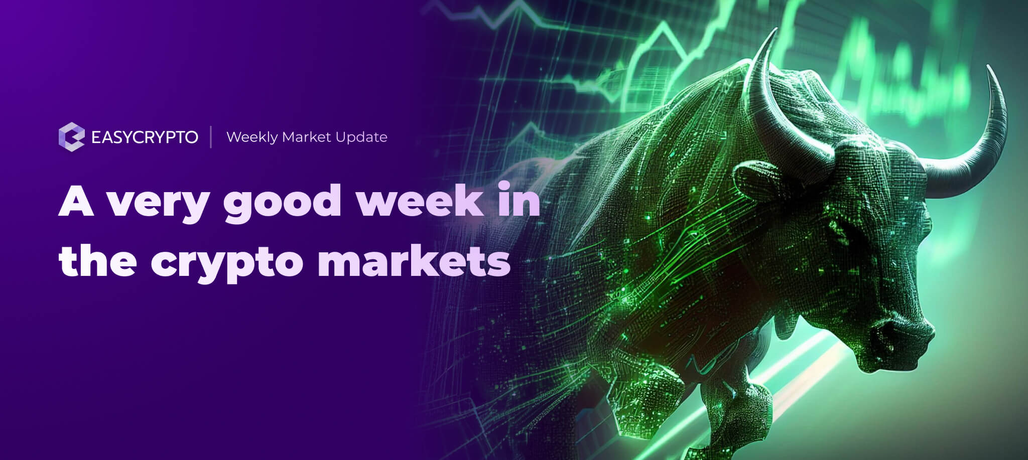 Weekly Market Update: A Solid Week in the Crypto Markets - Easy Crypto