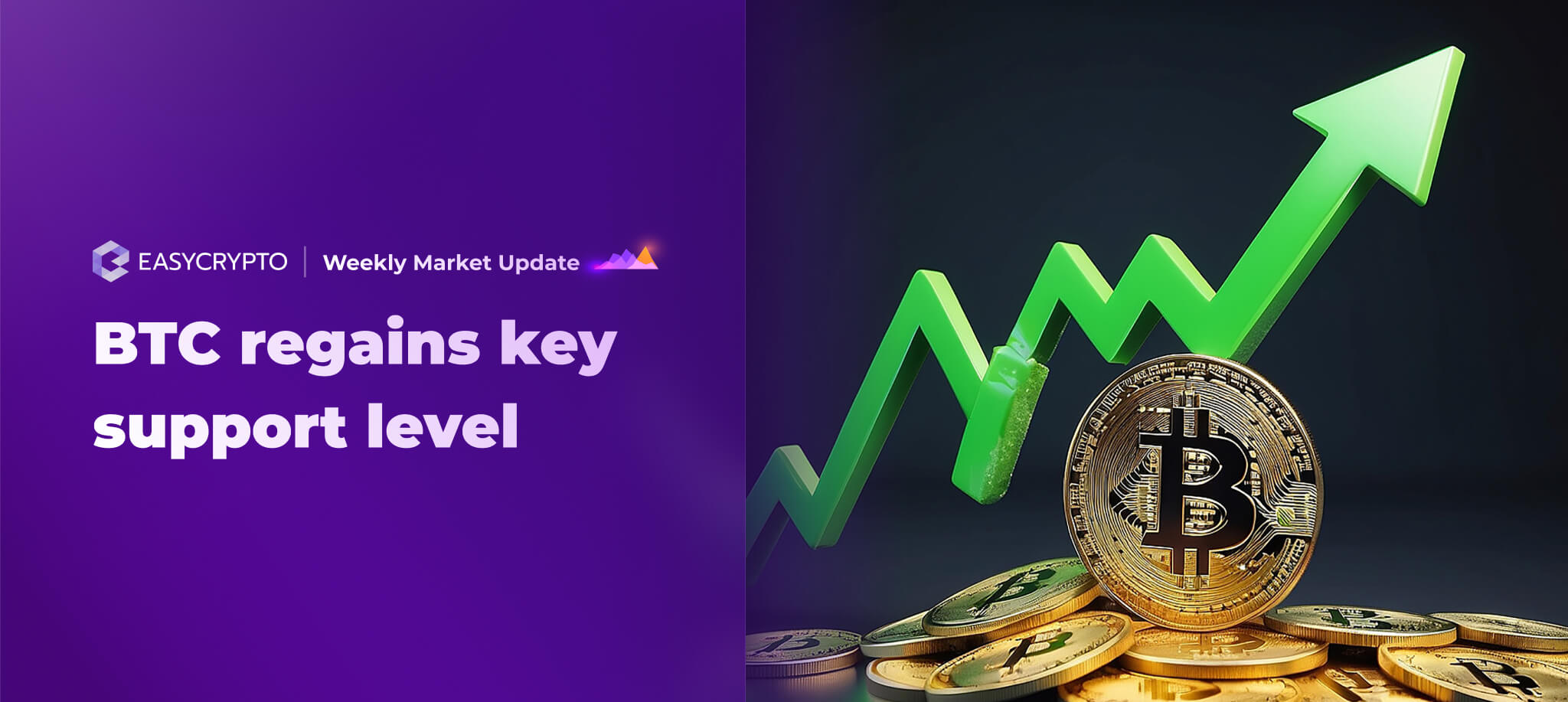 Weekly Market Update: BTC Regains Key Support Level - Easy Crypto