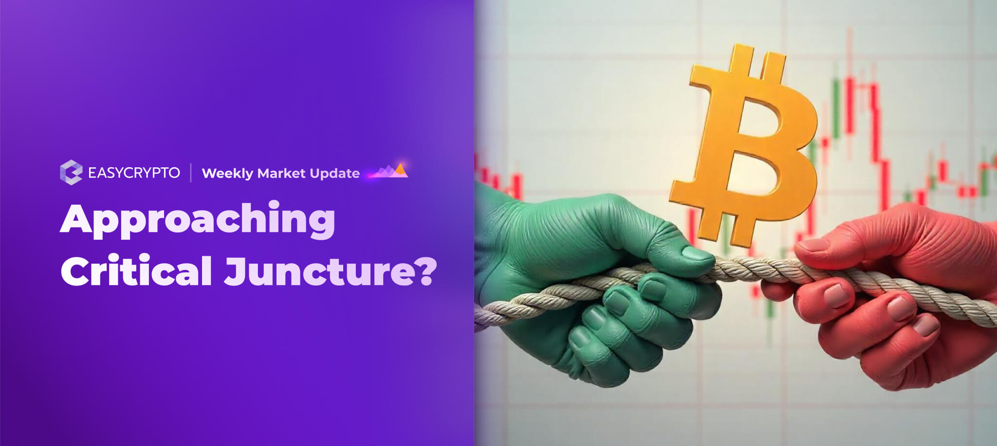 Weekly Market Update: Approaching Critical Juncture? - Easy Crypto